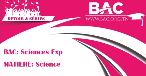 Devoir Contrôle N°2 Avec Correction - Bac Sciences - Bac Tunisie 2025